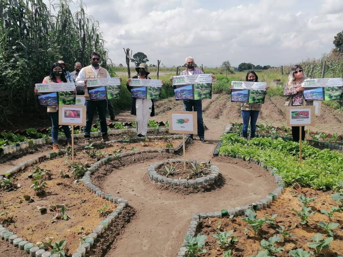 Sembrando Vida dispersa 75 mdp y recupera credibilidad de campesinos ...
