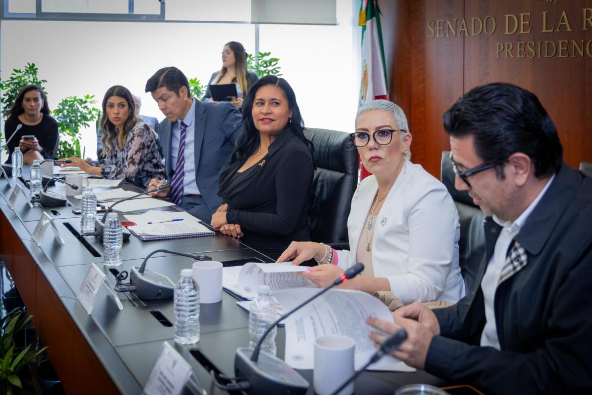 Mesa Directiva reconoce a senadora Alejandra Reynoso por su incansable ...